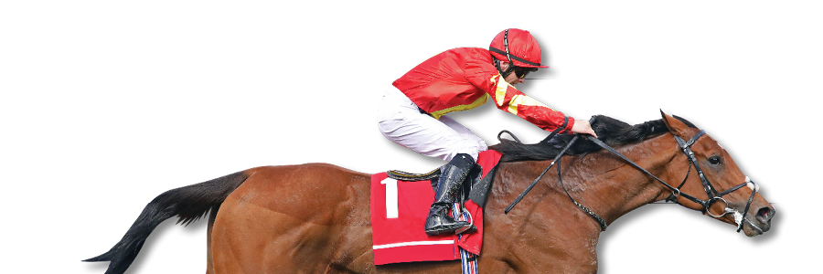 Double Your First Deposit | DRF Bets | Daily Racing Form