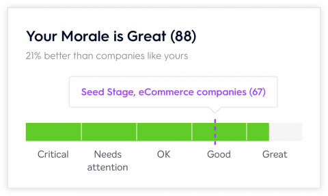 Real-Time People Insights | Bunch.ai