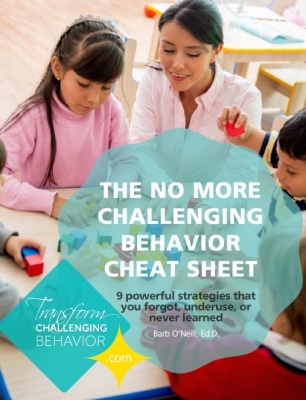 Help for Challenging Behavior