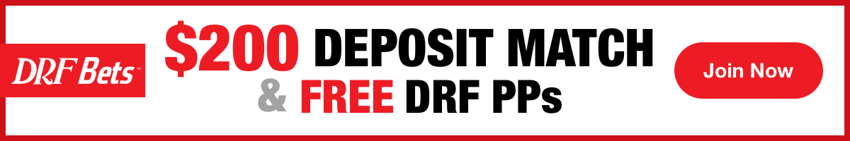 DRF Harness Headquarters