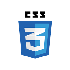 The Global Career Accelerator