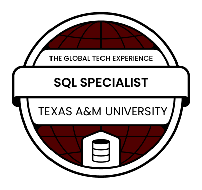 Coding for Data | The Global Career Accelerator