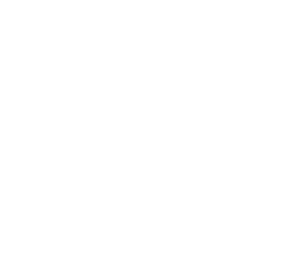 The Global Career Accelerator