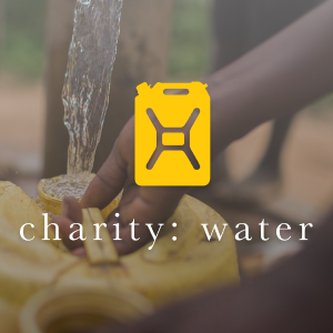 The Global Career Accelerator