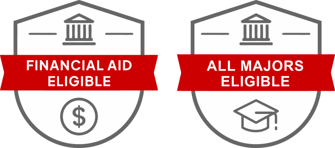 Data Analytics | The Global Career Accelerator