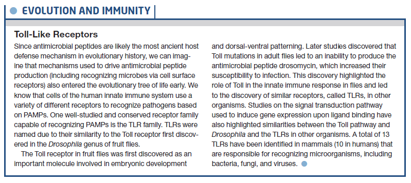 Immunology | Oxford University Press