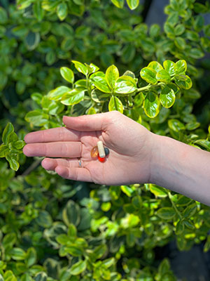 Autumn DNA - Free DNA Kit Offer