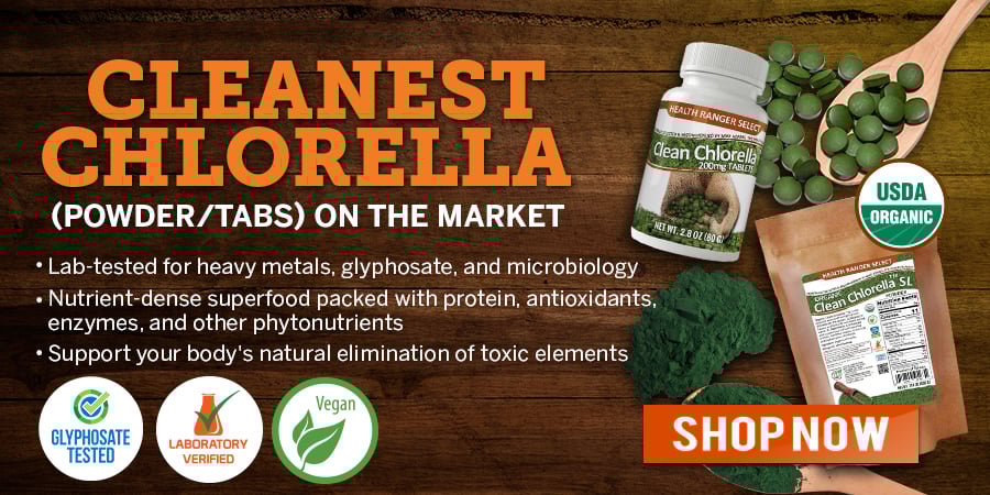 The cleanest chlorella on the market is back in stock at the Health ...