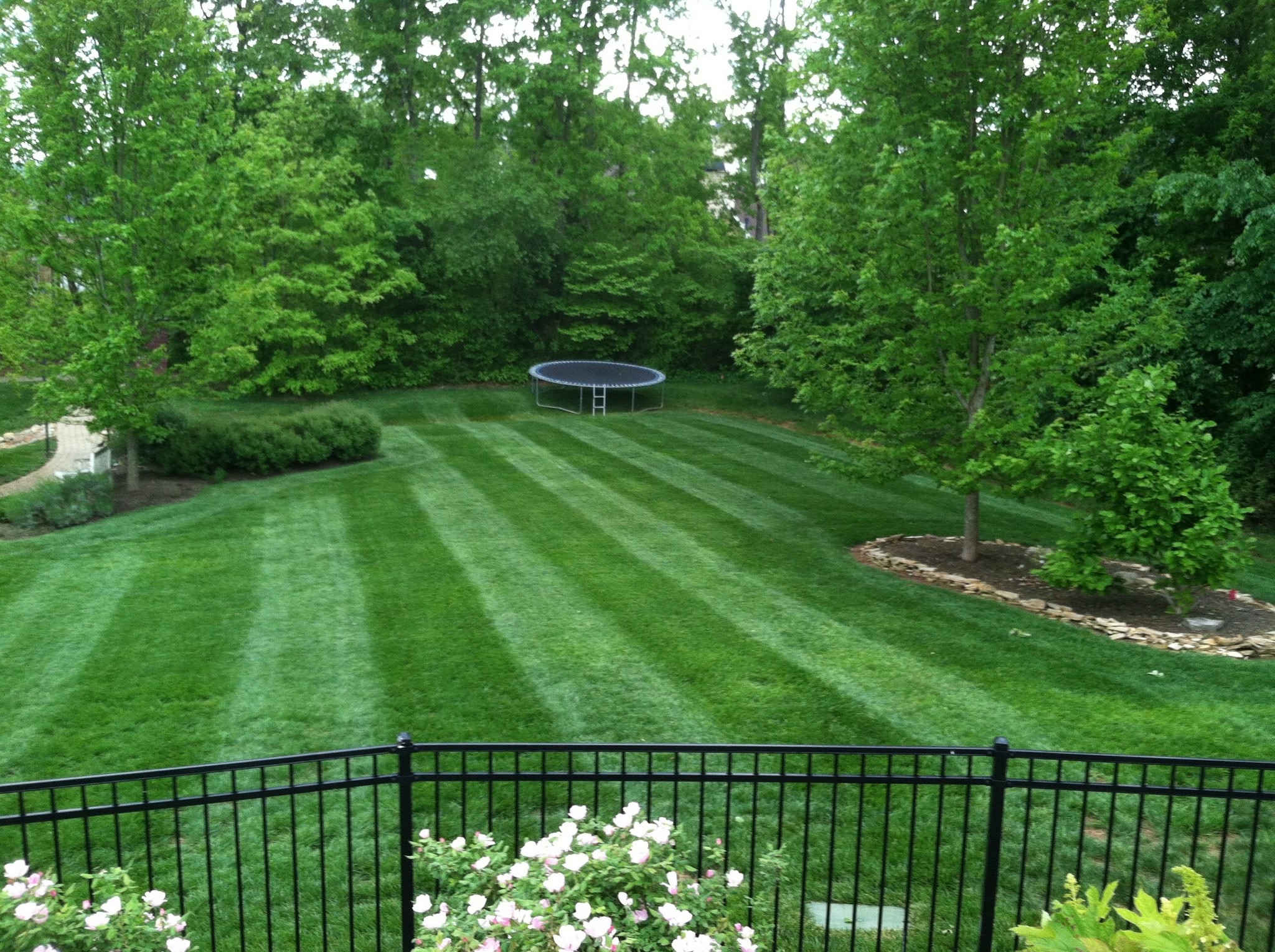Precision Lawn Service