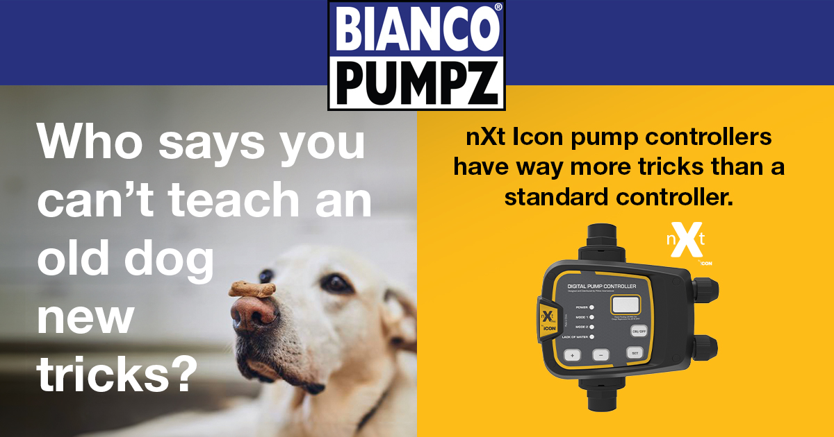 Bianco Icon nXt pump controllers