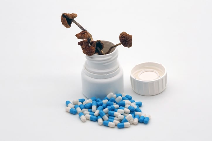 NetCE October 2024 New & Updated Courses