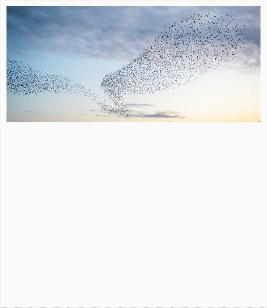 Falconi | Soluções em Gestão, Gente e Tecnologia