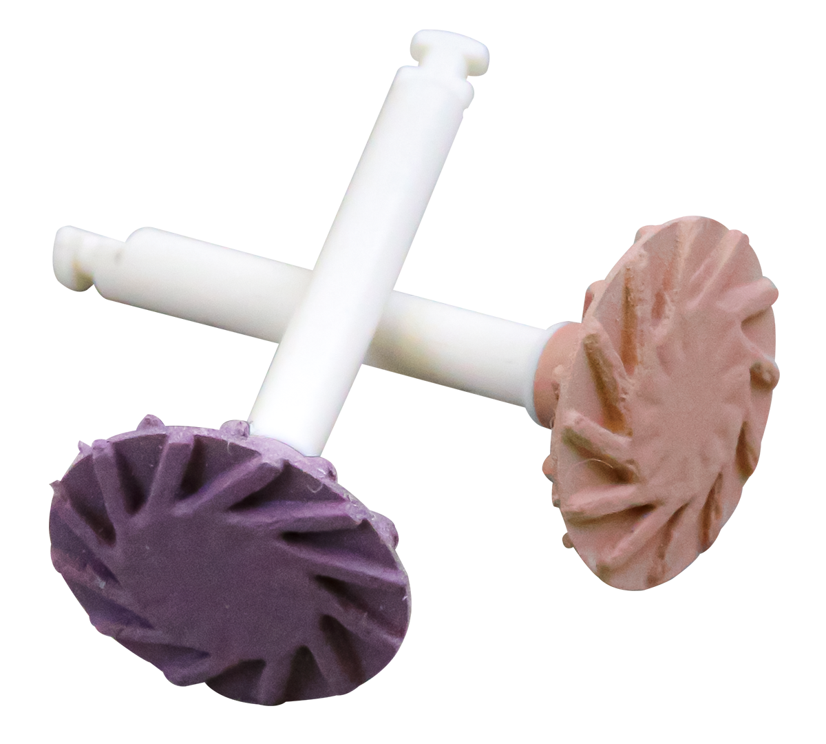 ASAP Polishers Family