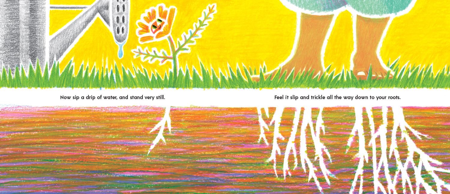 Have You Ever Seen a Flower? | Chronicle Books