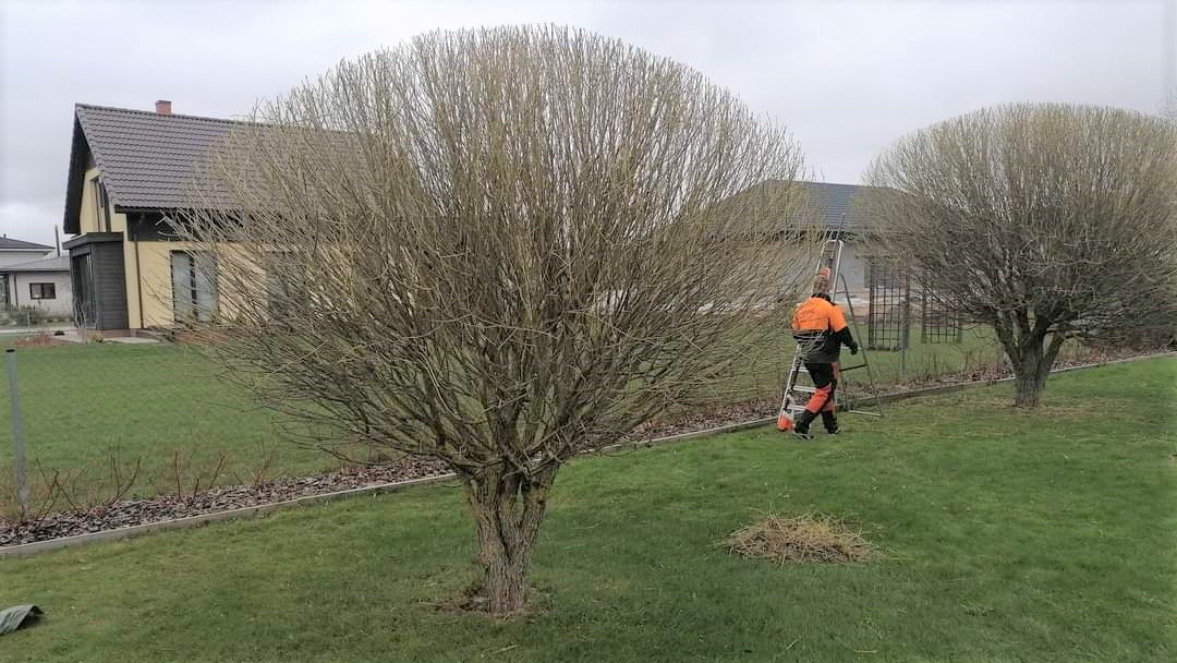 Tehtud tööd ja referentsid Tartus ja Tartumaal