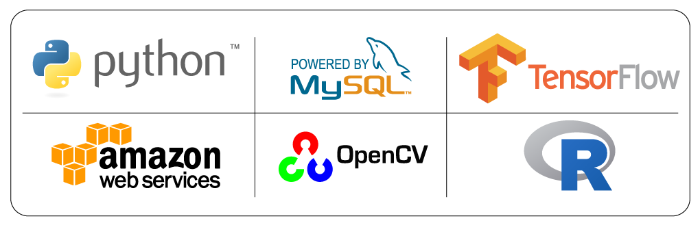 Data Science, Machine Learning and AI programme